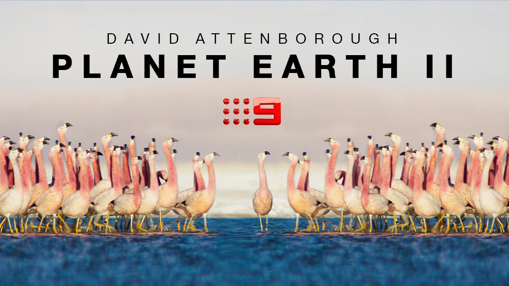 Amazing Planet Earth II Premieres - Nine for Brands