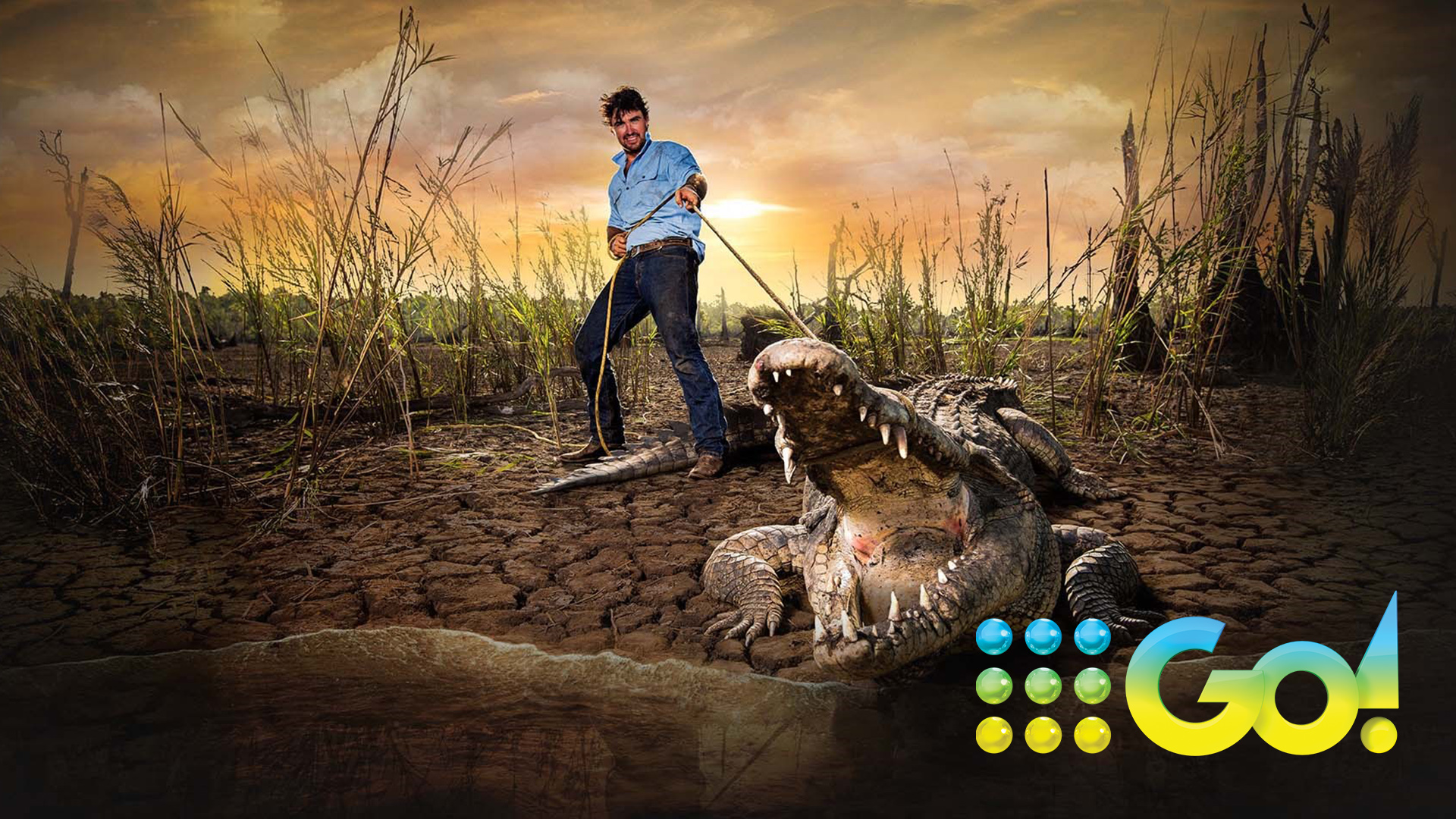 Matt Wright To Star In Outback Wrangler on 9Go! - Nine for Brands