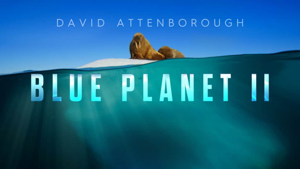 David Attenborough Returns In The UK’s Highest Rating Series Of 2017 ...