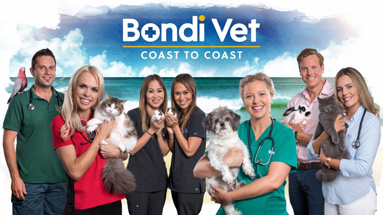 Bondi Vet: Coast to Coast - Nine for Brands