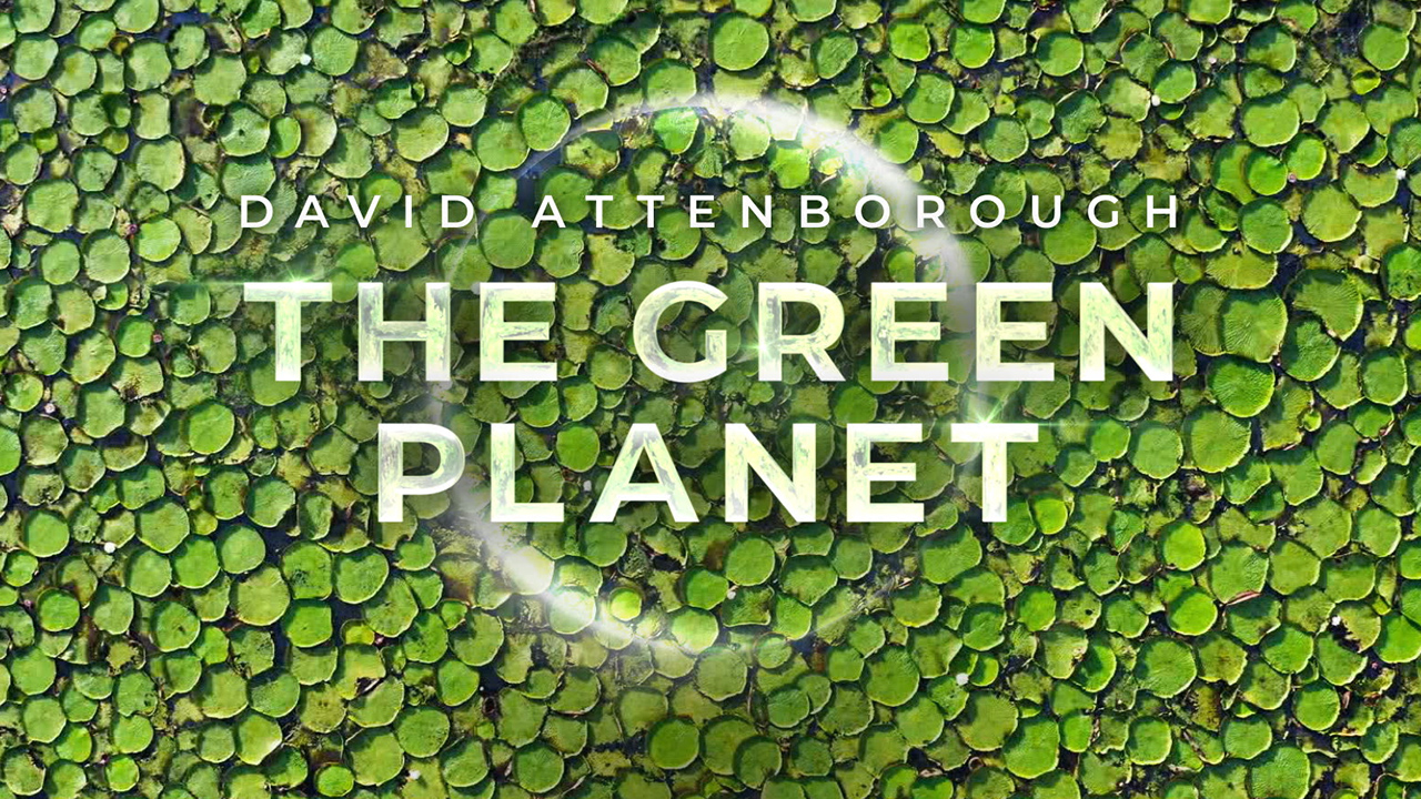Explore the wondrous world of plants - Nine for Brands