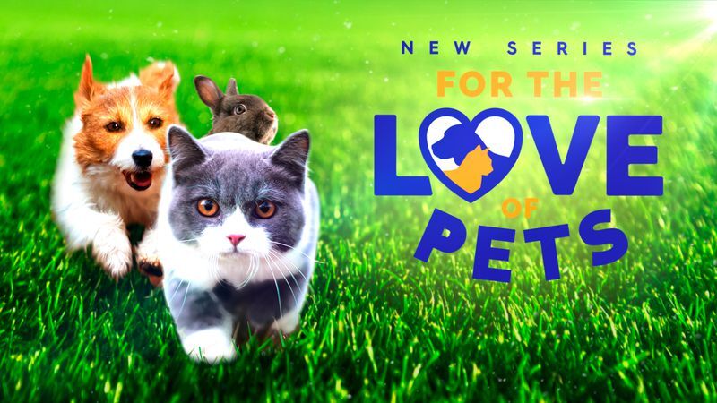 For The Love of Pets starts Friday February 3 at 7.30pm on Channel 9 ...