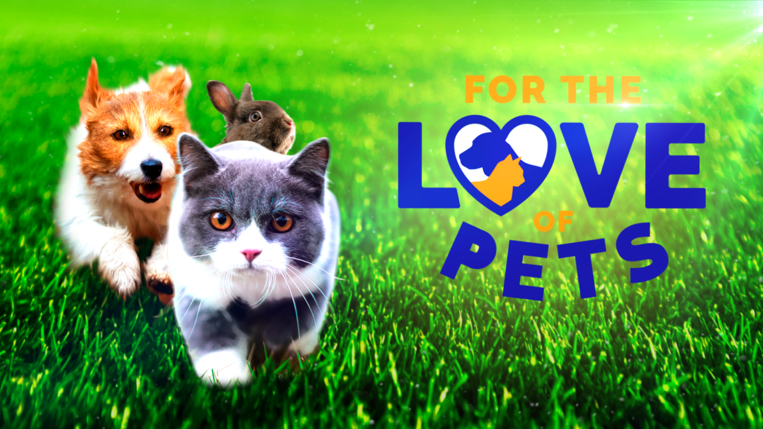 Smitten For The Love of Pets - Nine for Brands