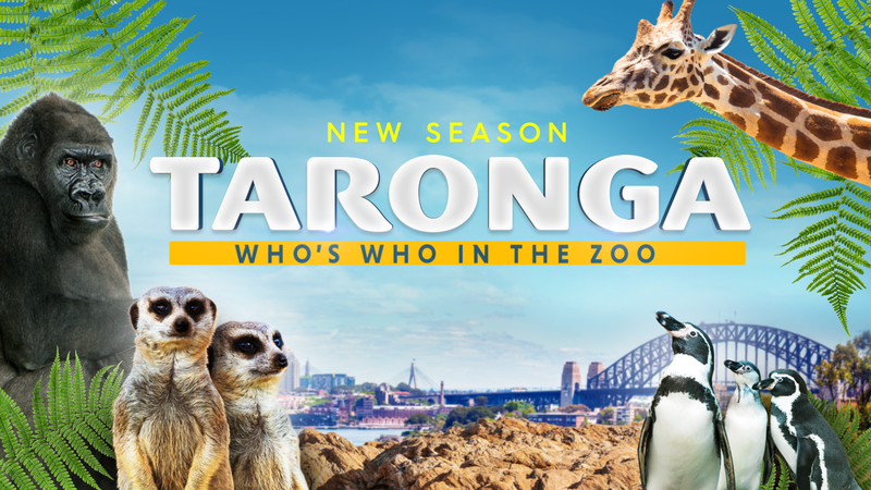 Taronga: Who's Who In The Zoo returns for another extraordinary season ...