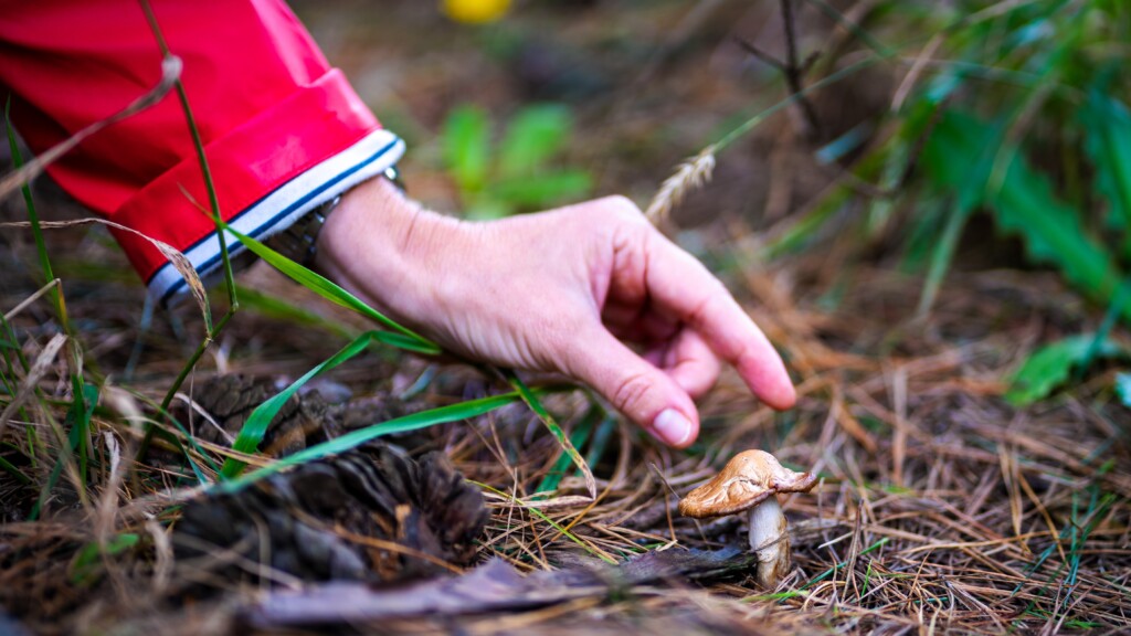 Recipe for Murder? Australia's Most Bizarre Triple-Murder Mystery ...